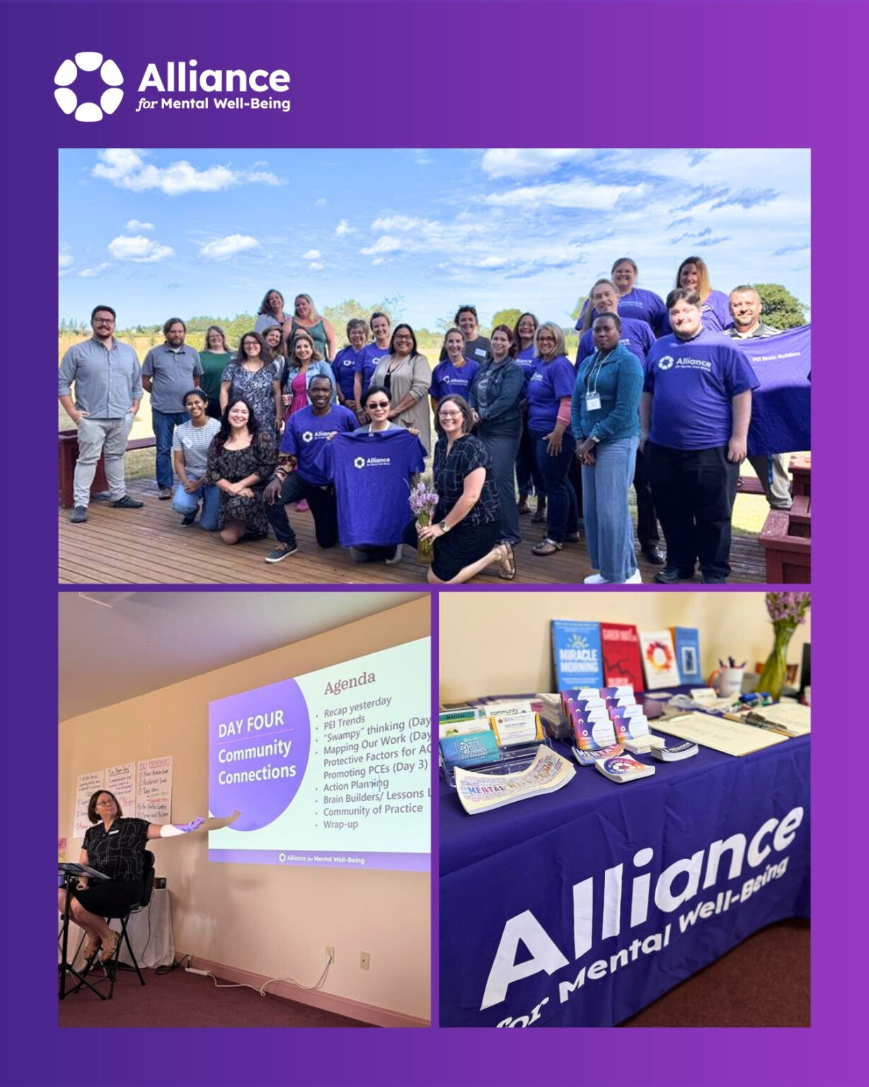 August Brain Science Training: Building Capacity Across Communities - PEI Alliance for Mental ...